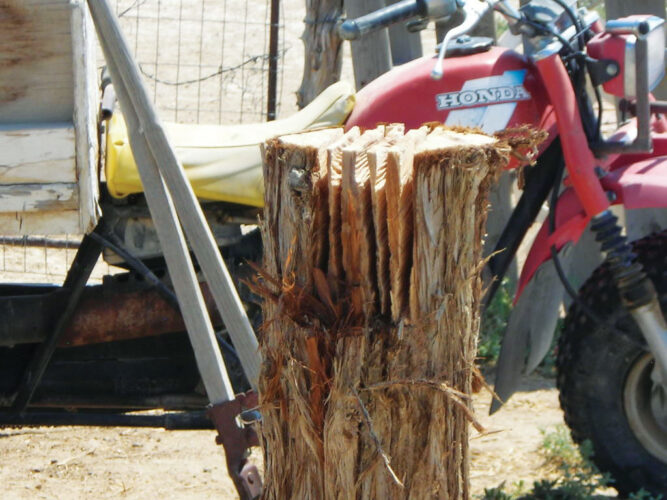 Easy DIY: How to Build a Hitching Post - Grit